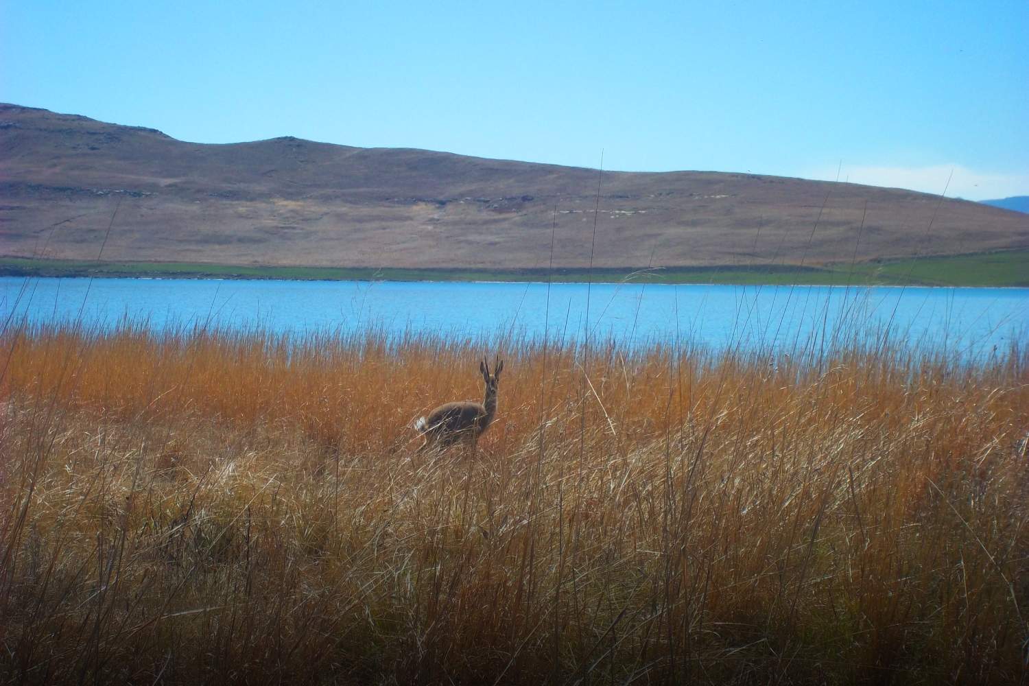 Free State travel guide: When to visit, Places to visit, Safety ...